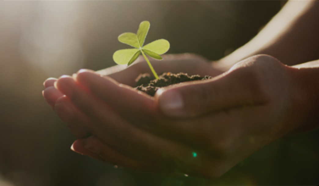 About Promethean | Experts in Asset Management & Decommissioning ...